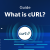 什么是 cURL 命令？详细指南