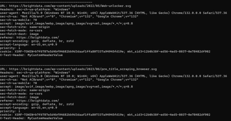 使用 Selenium Wire 与 Python 在 2025 年进行网页抓取