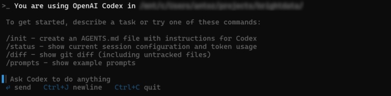 使用 Bright Data Web MCP Server 的 OpenAI Codex CLI 指南